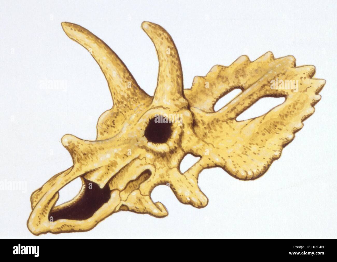 Palaeozoology cretaceous period dinosaurs hi-res stock photography and ...