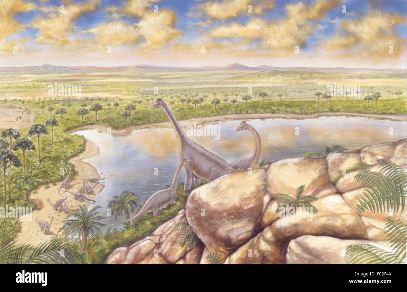 Palaeozoology - Jurassic period - Dinosaurs - Bothriospondylus - Art ...