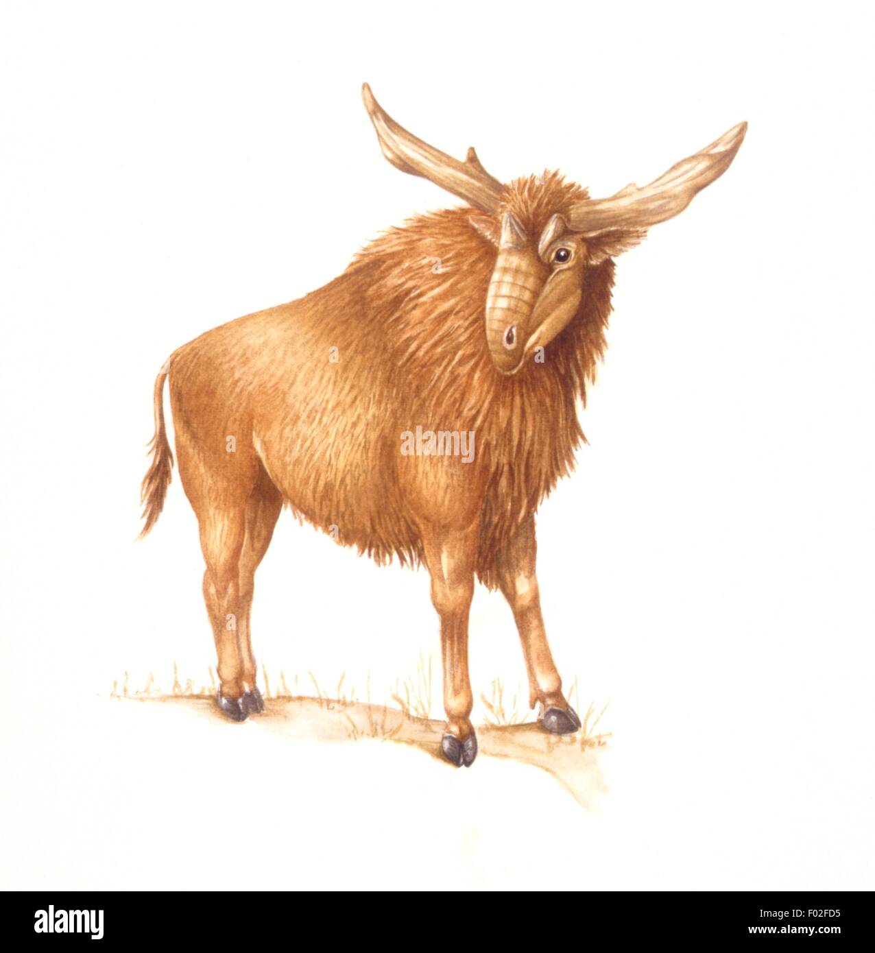 Sivatherium hi-res stock photography and images - Alamy