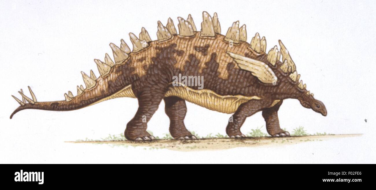 Palaeozoology - Jurassic period - Dinosaurs - Yingshanosaurus - Art ...