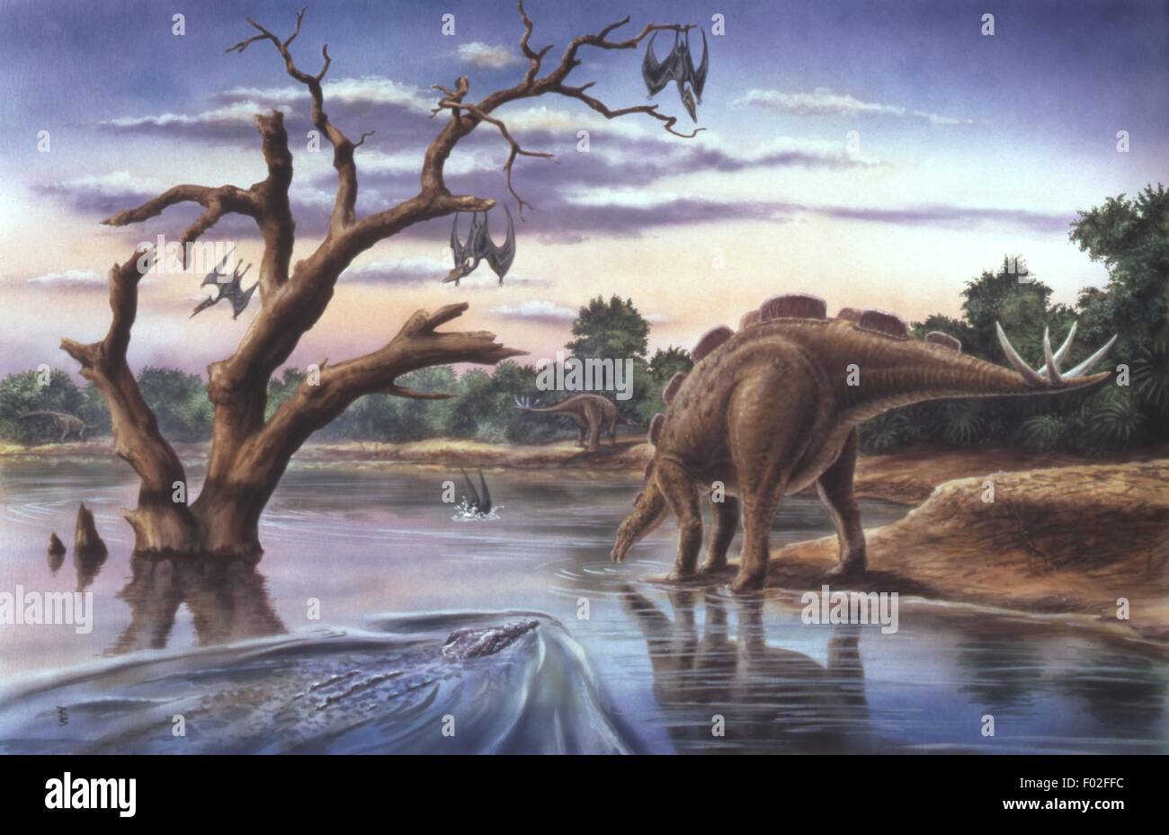 Wuerhosaurus Images