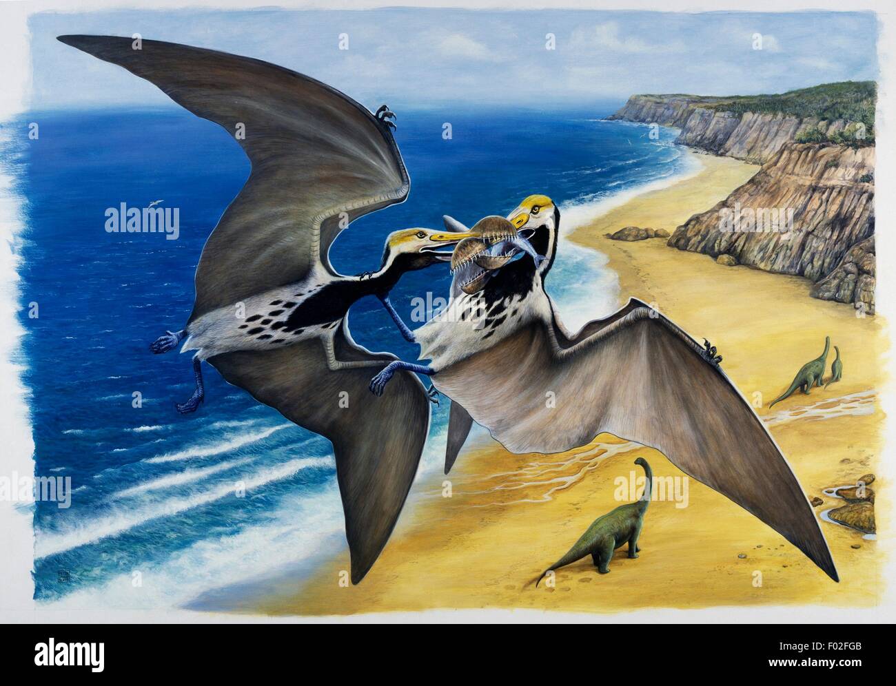 Two Tropeognathus sp with a prey, Tropeognathidae, Cretaceous. Artwork ...