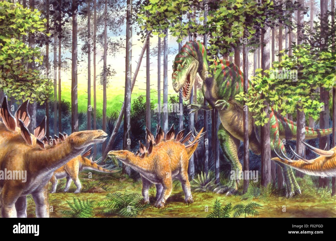 Palaeozoology - Jurassic period - Dinosaurs - Metriacanthosaurus (in ...
