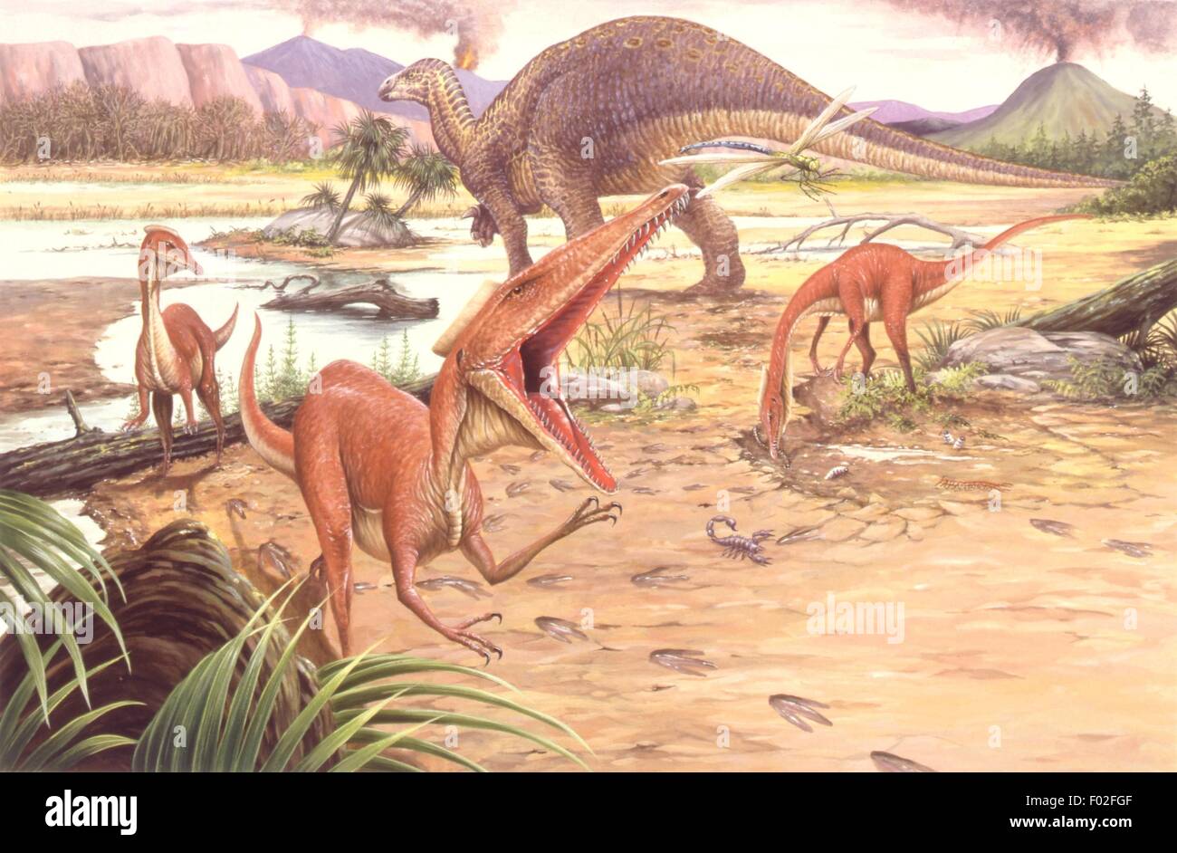 Palaeozoology - Cretaceous period - Dinosaurs - Herd of Pelecanimimus ...