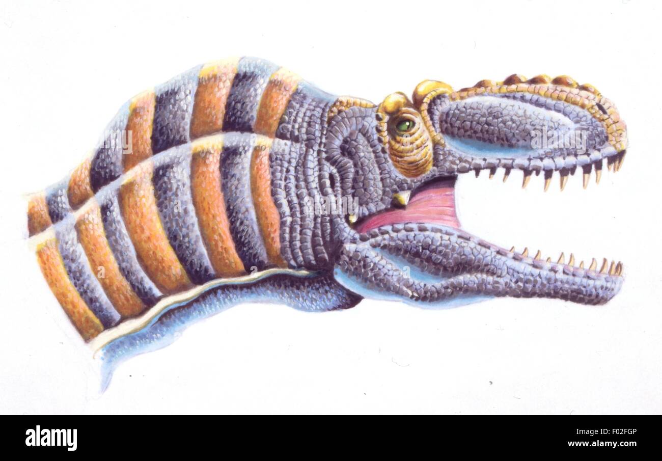 Palaeozoology - Cretaceous period - Maleevosaurus (head) - Art work by ...