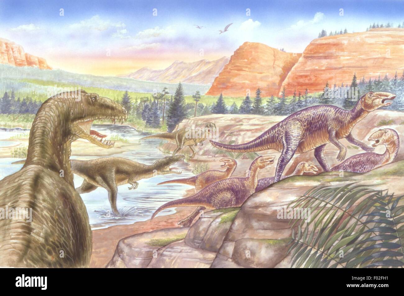 Palaeozoology - Cretaceous period - Dinosaurs - Herd of Aublysodon ...