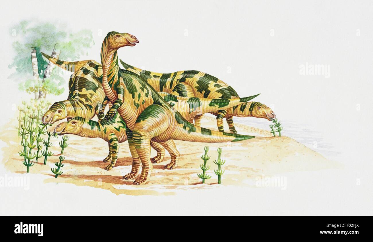 Hadrosaurus foulkii, Hadrosauridae, Late Cretaceous. Artwork by Clive ...
