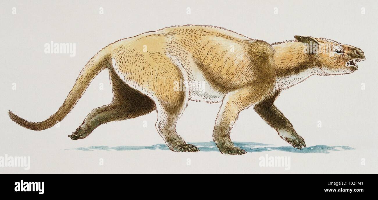 Ectocono (Ectoconus sp), Periptychidae, Early Paleocene. Artwork by ...