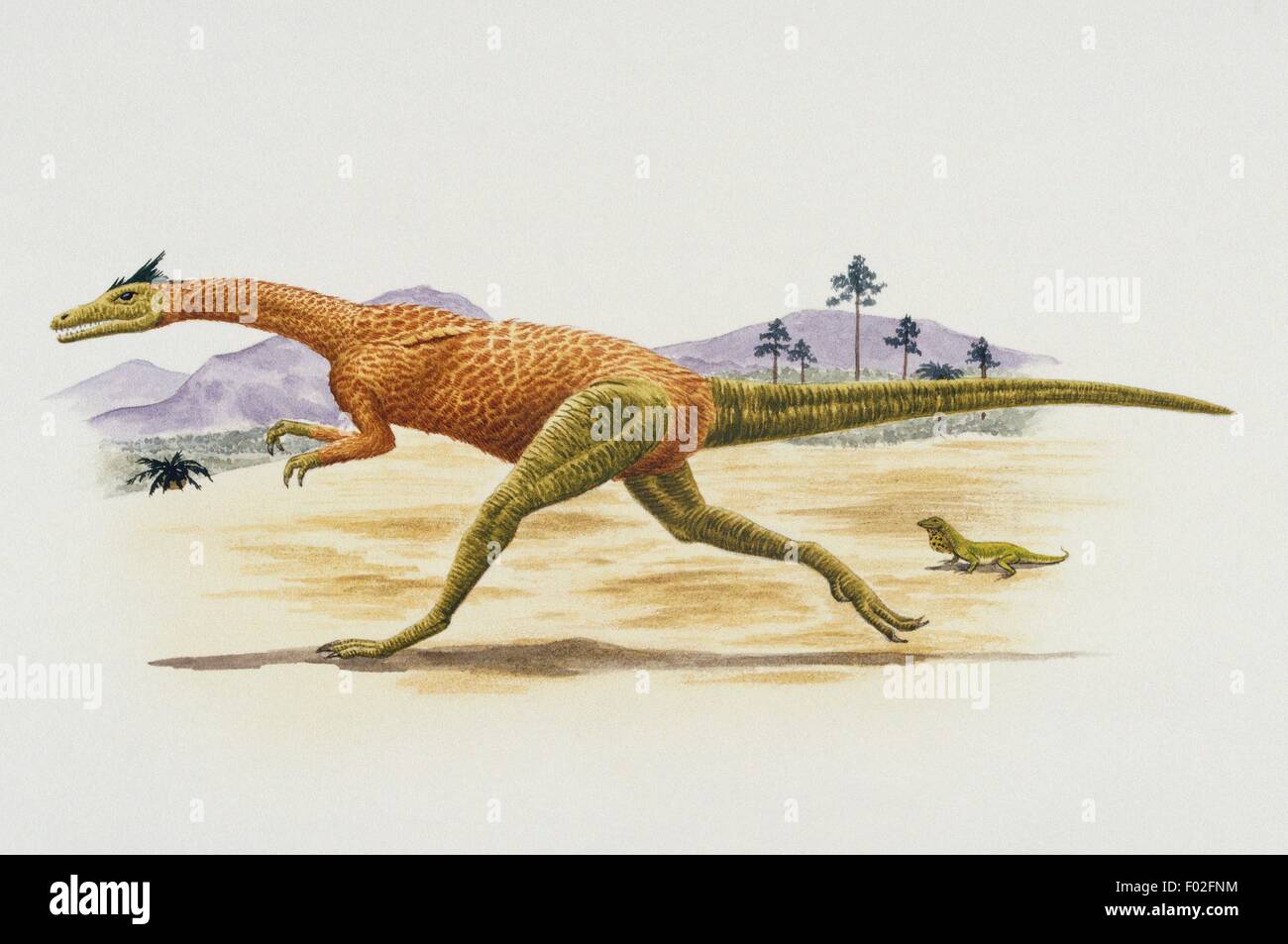 Compsognathus dinosaur hi-res stock photography and images - Alamy