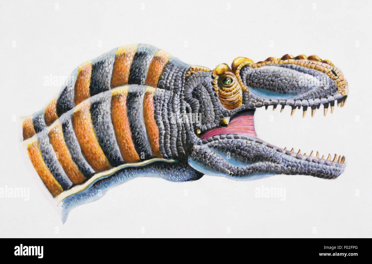 Tarbosaurus bataar, Tyrannosauridae, Late Cretaceous. Artwork by Steve ...