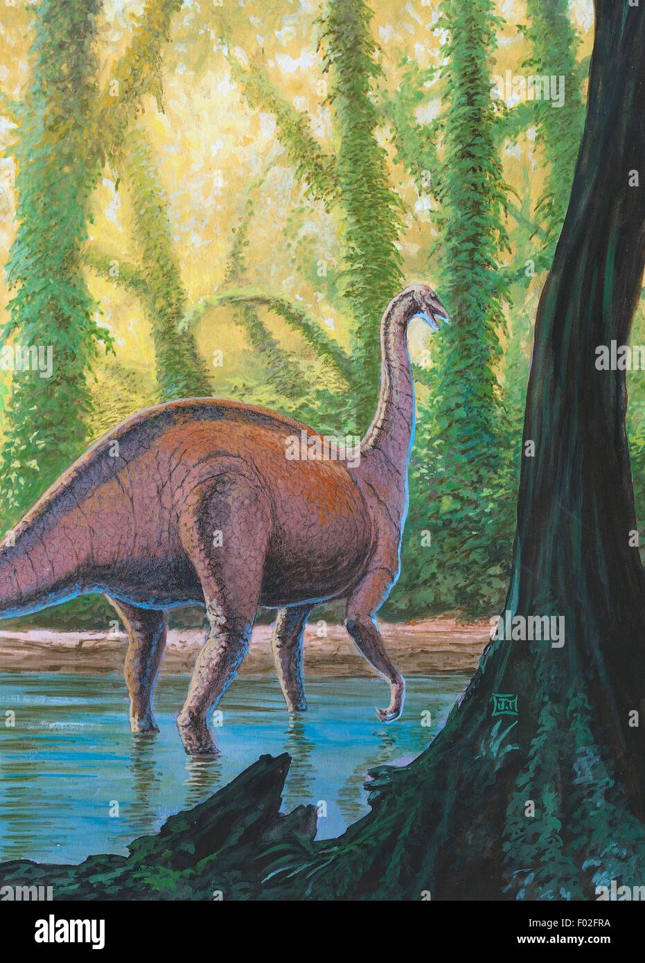 Vulcanodon hi-res stock photography and images - Alamy