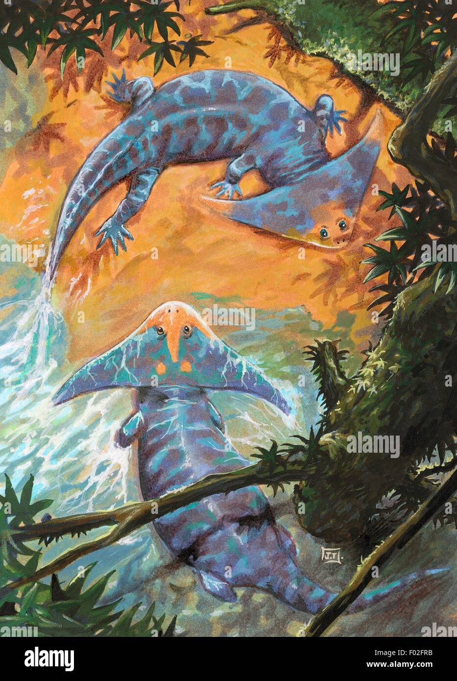 Diplocaulus hi-res stock photography and images - Alamy