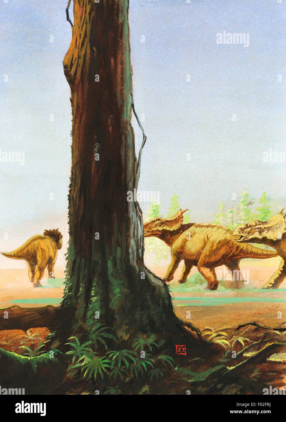Pachyrhinosaurus hi-res stock photography and images - Alamy
