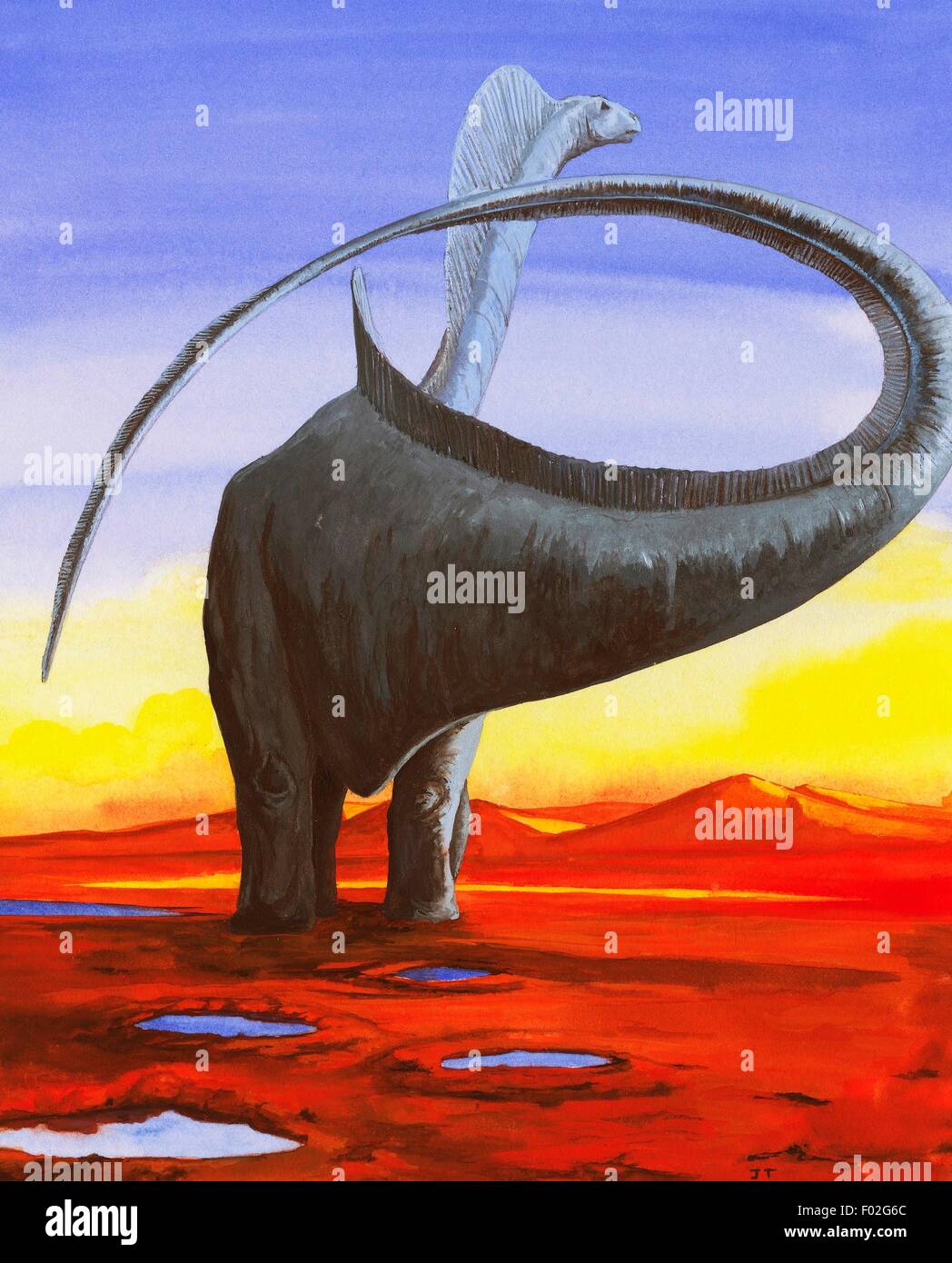 Amargasaurus cazaui, Dicraeosauridae, Early Cretaceous. Artwork by J ...