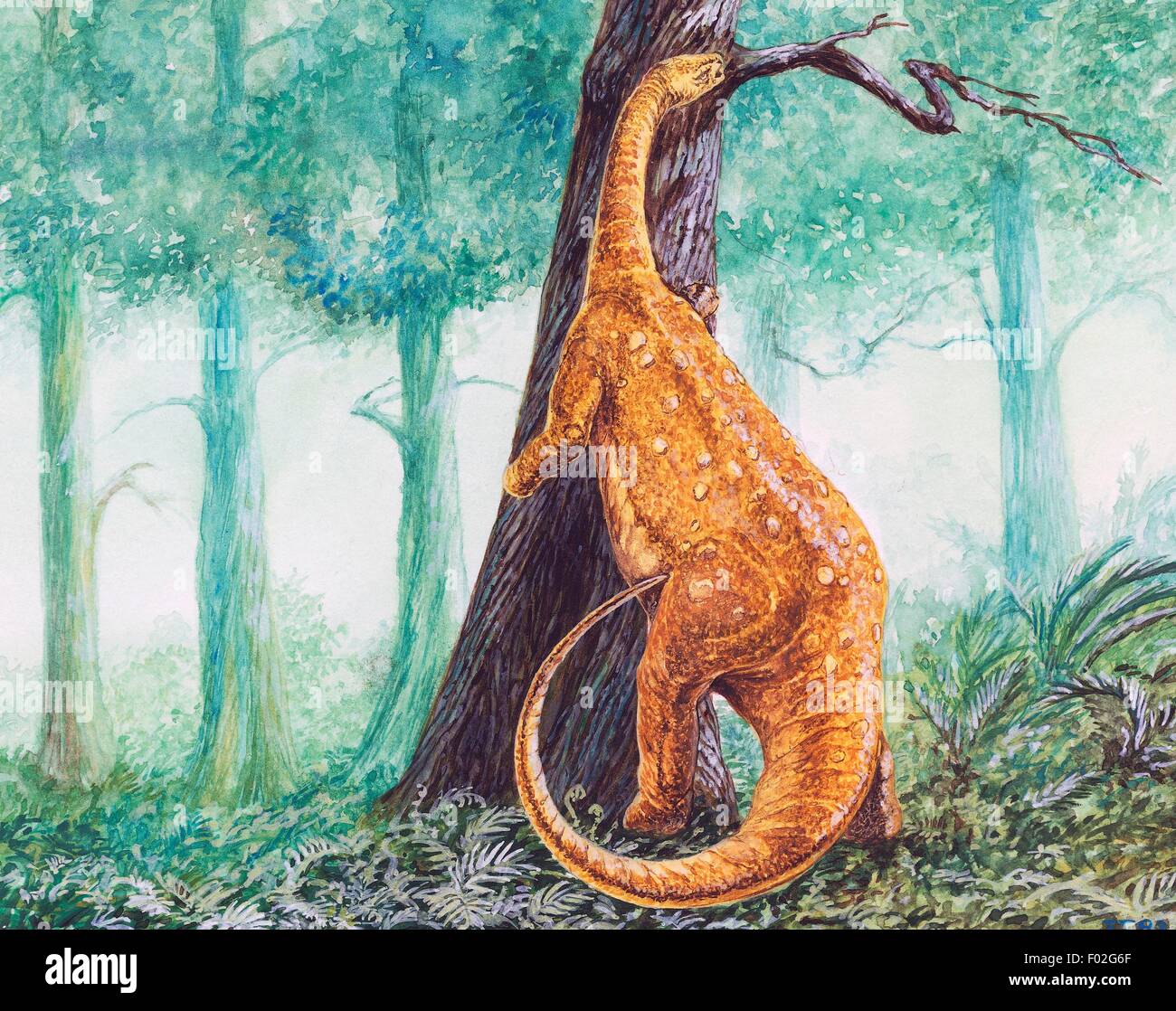 Brontosaurus illustration hi-res stock photography and images - Alamy