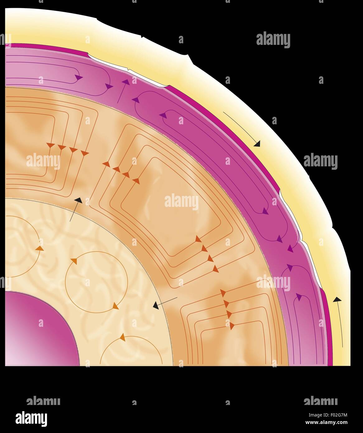 Geology - Earth's mantle motions and forces. Color diagram Stock Photo ...