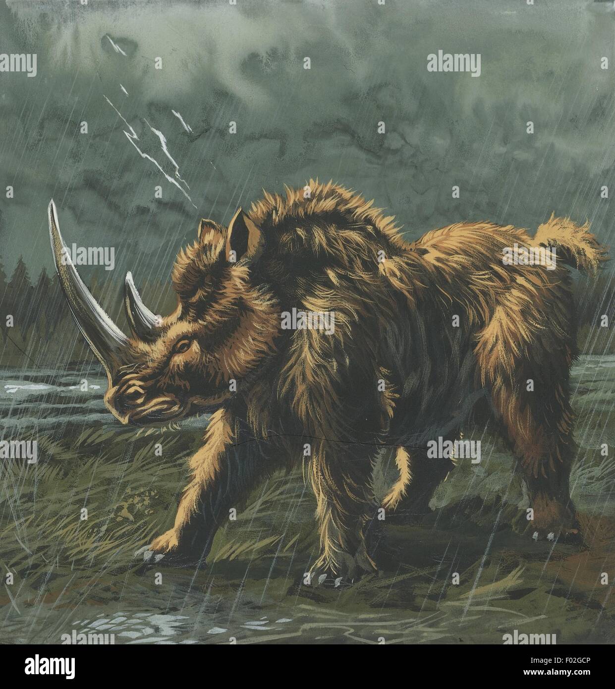 Giant Prehistoric Rhino