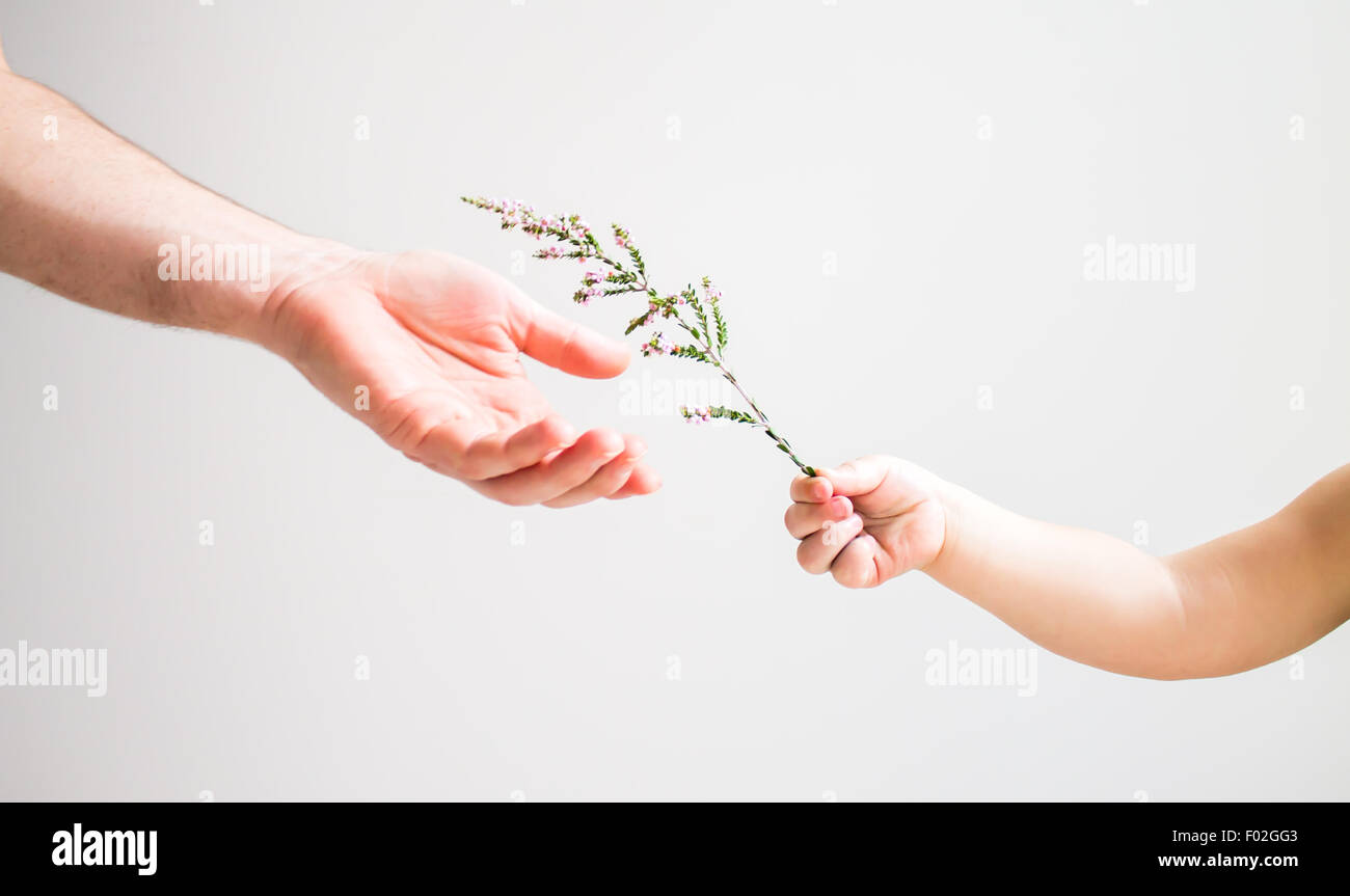 Child handing flower to an adult Stock Photo: 86108739 - Alamy