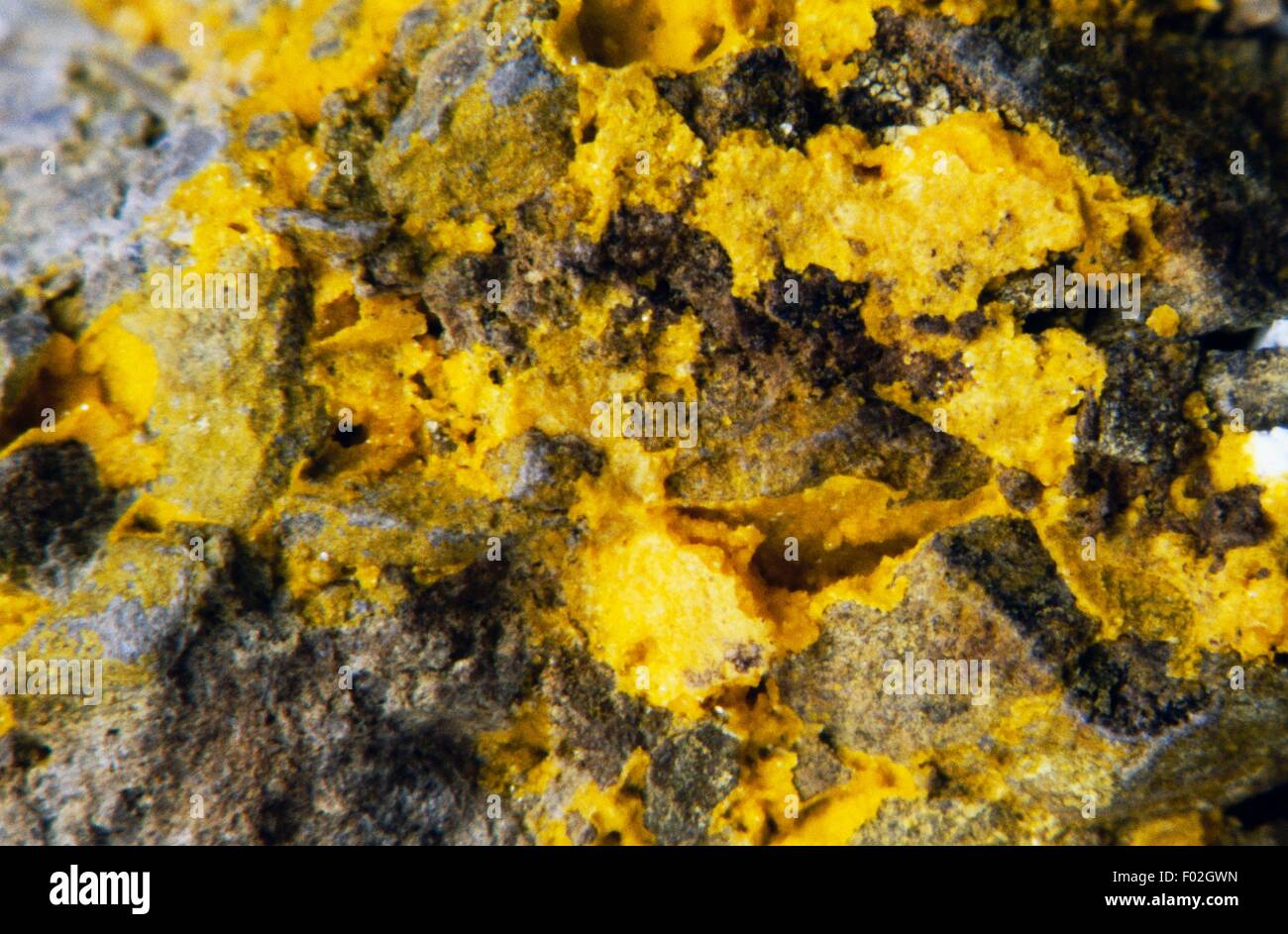 Vanadate Stock Photos & Vanadate Stock Images - Alamy