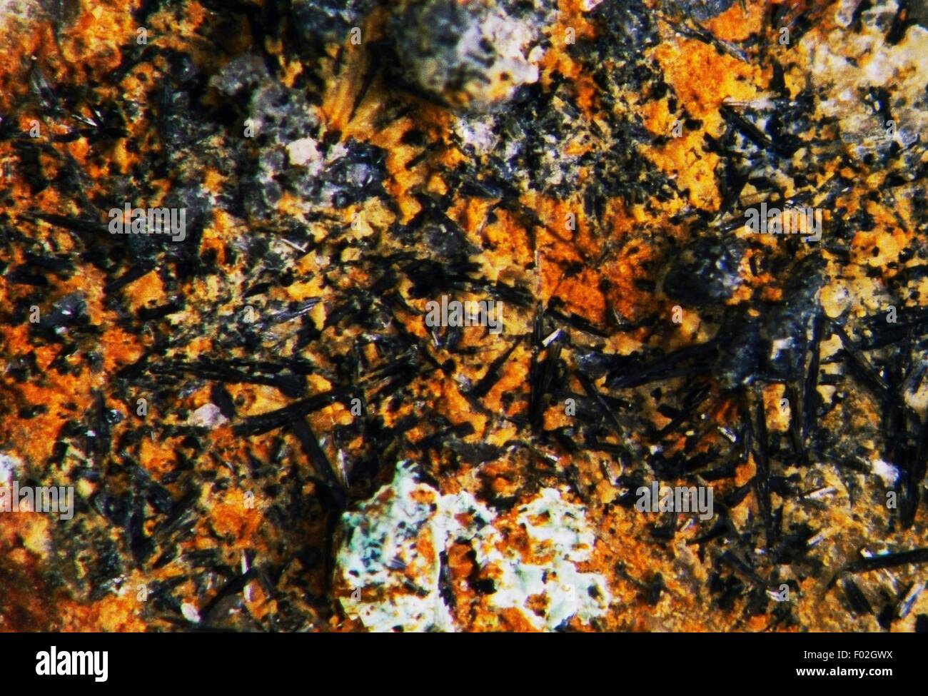 Arsenate hi-res stock photography and images - Alamy