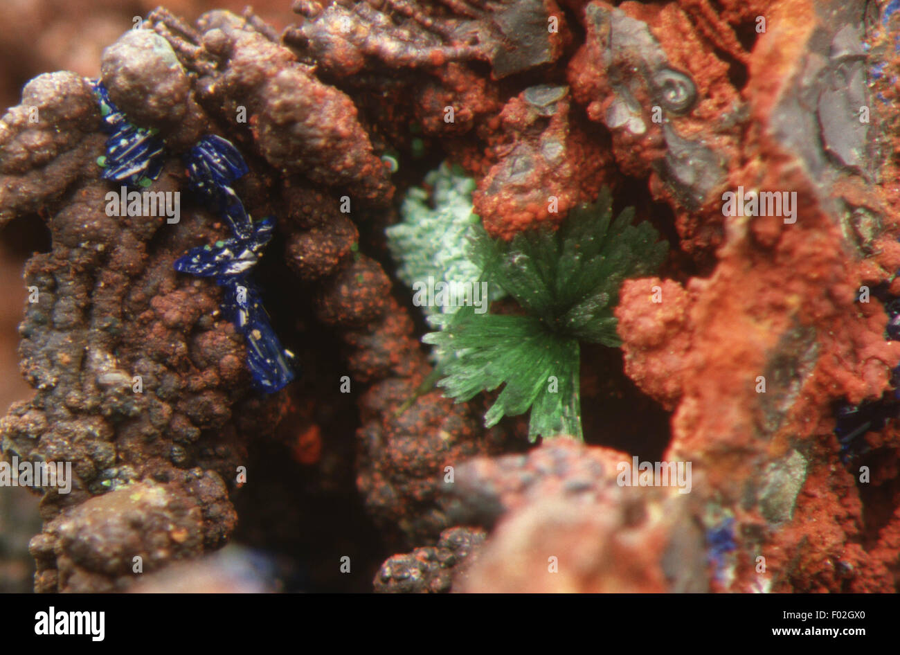 Olivenite hi-res stock photography and images - Alamy