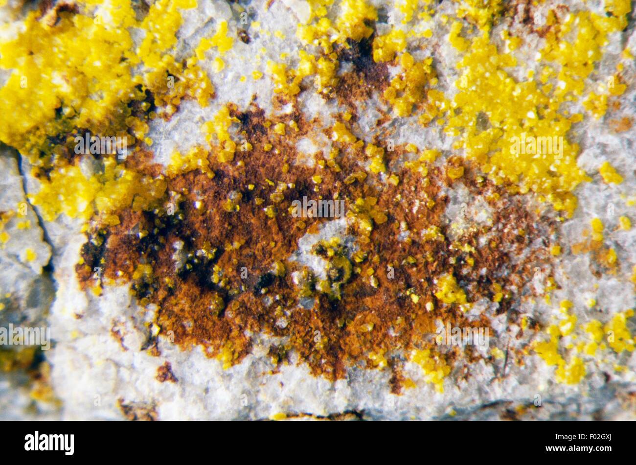 Vanadate hi-res stock photography and images - Alamy