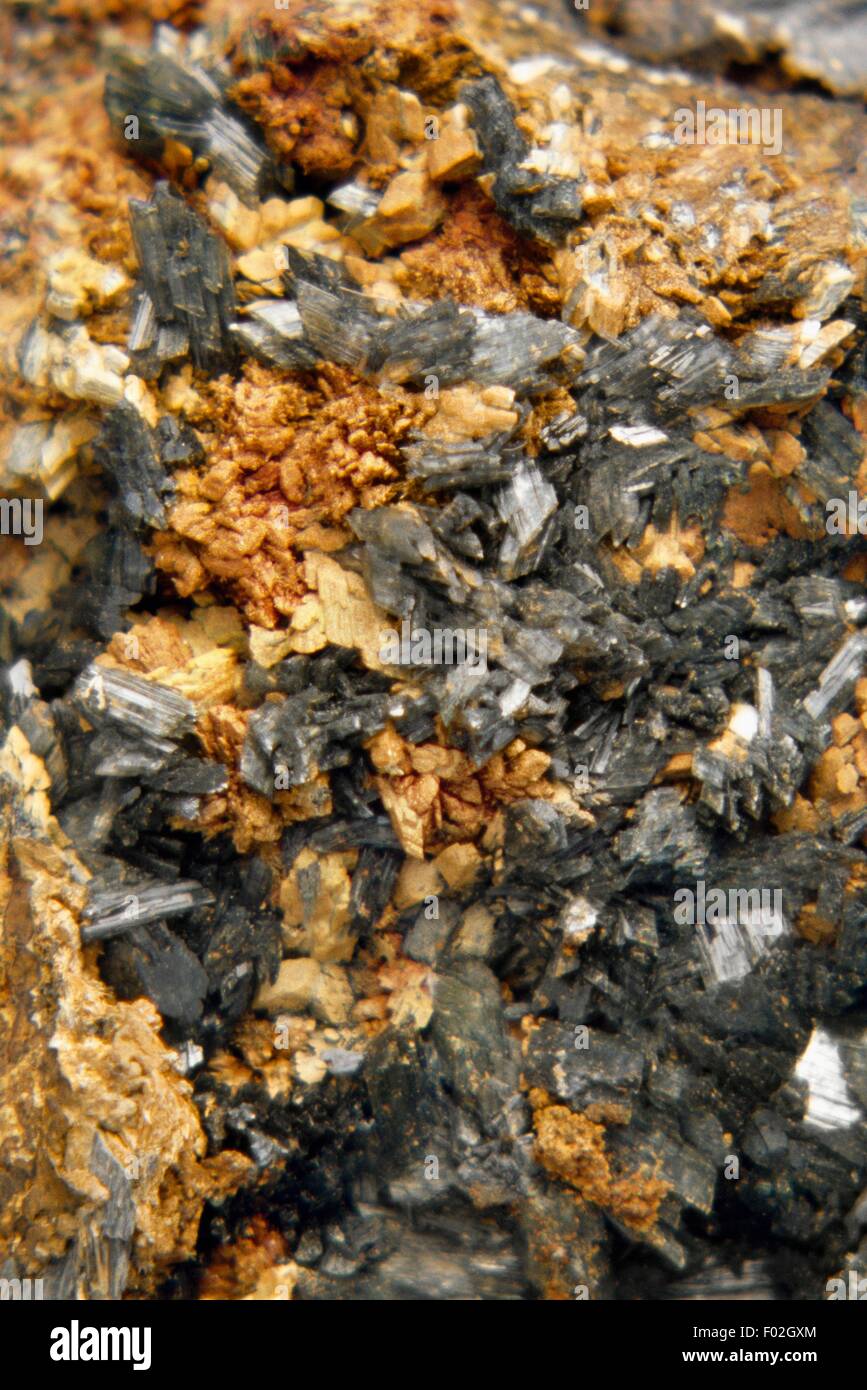 Parasimplesite hi-res stock photography and images - Alamy