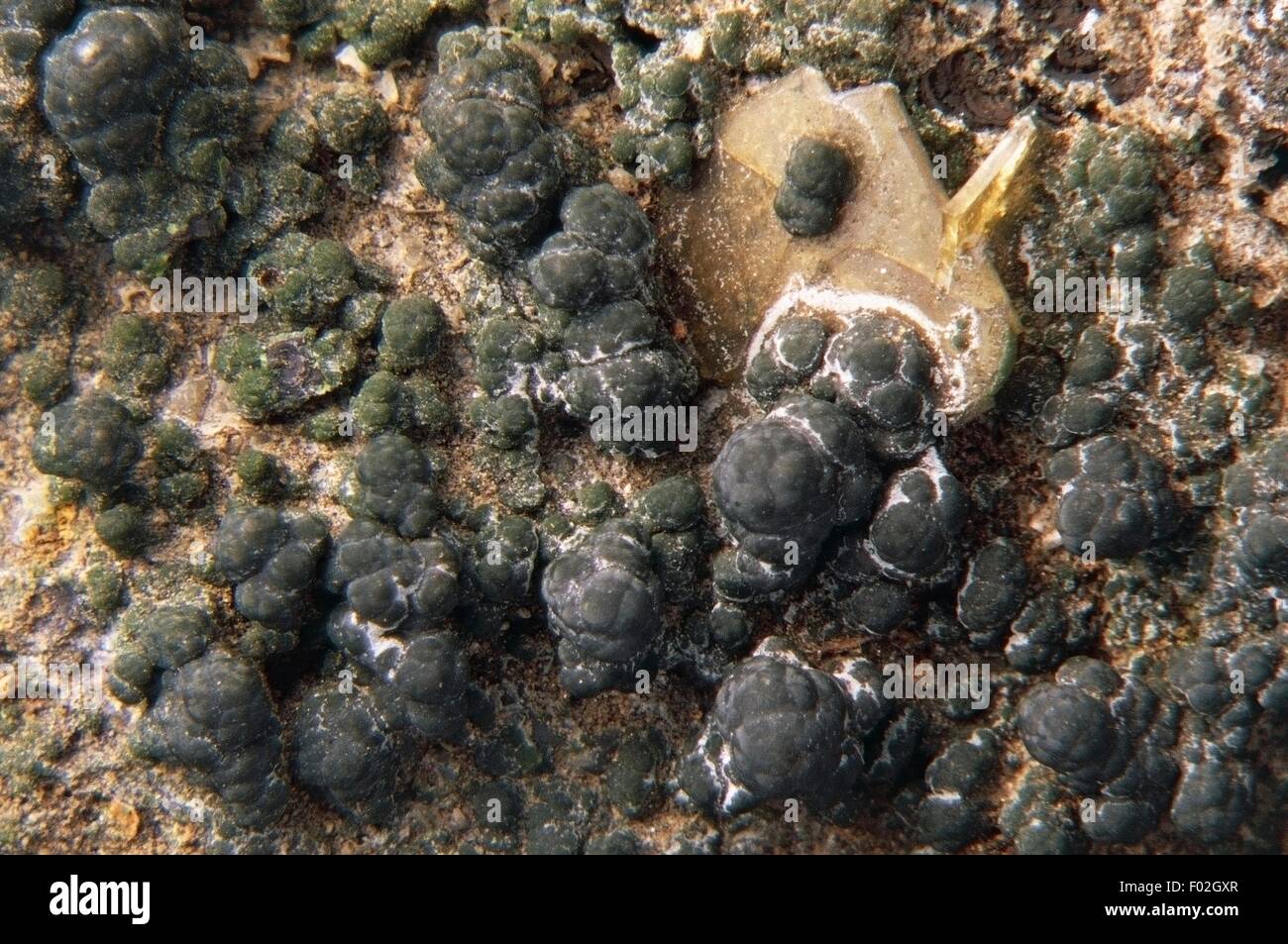 Arsenate hi-res stock photography and images - Alamy