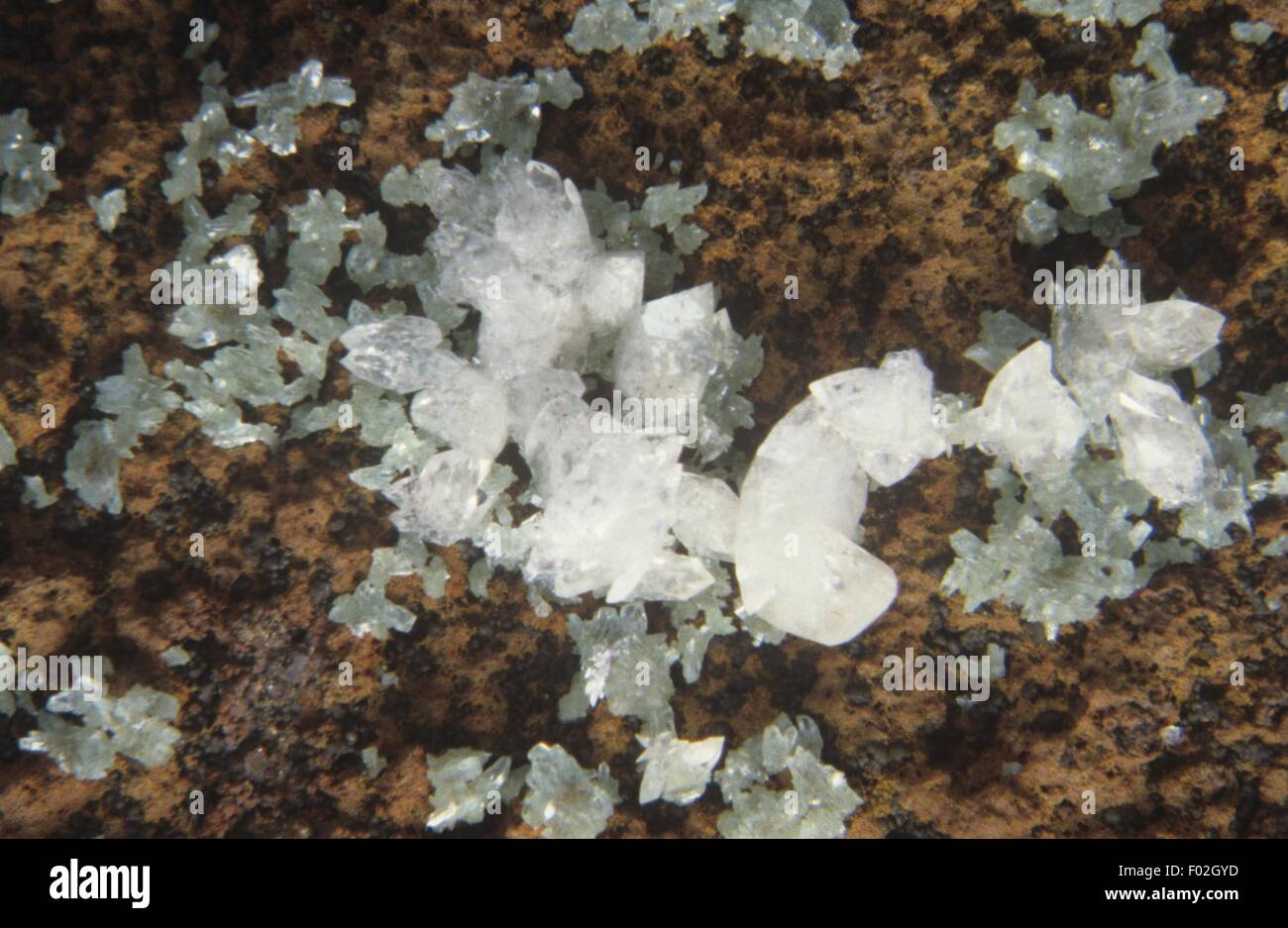 Austinite hi-res stock photography and images - Alamy