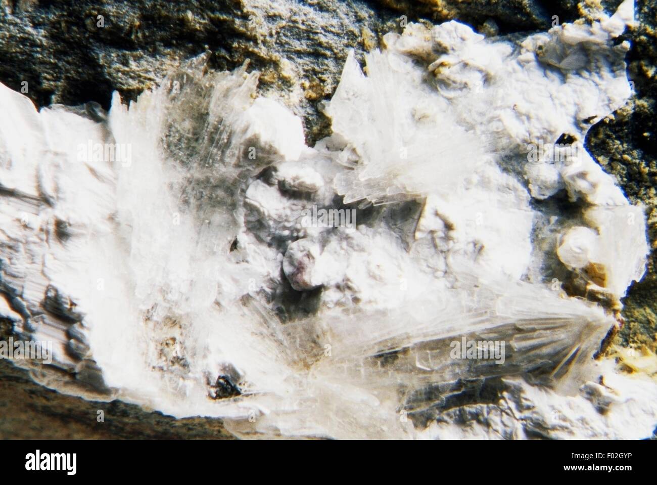 Brassite hi-res stock photography and images - Alamy