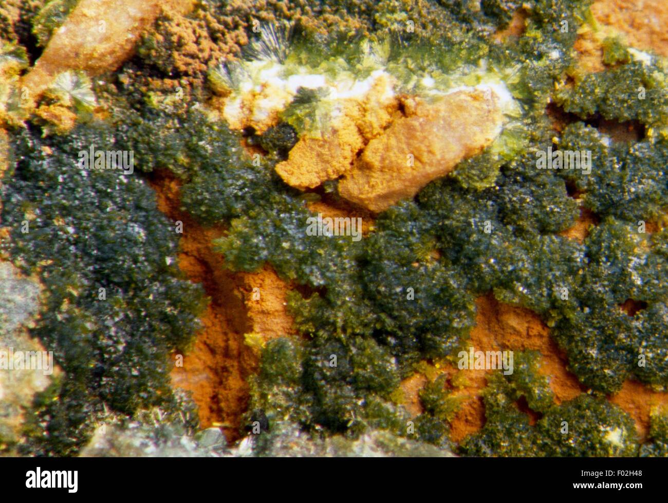 Arthurite hi-res stock photography and images - Alamy