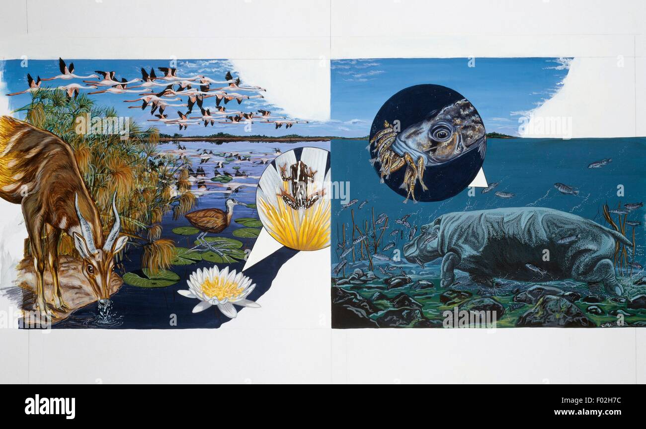 Lake Victoria environment and wildlife, drawing Stock Photo - Alamy