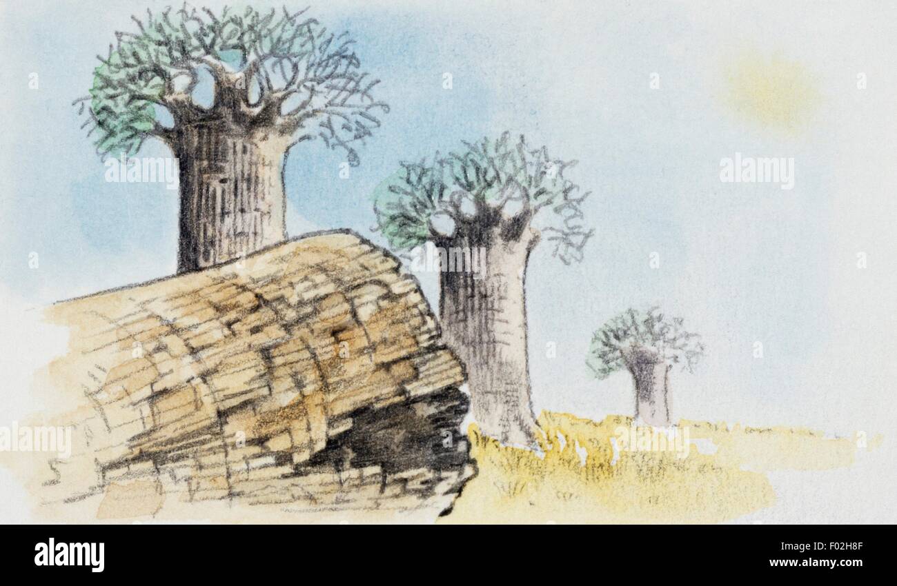 Log painting hi-res stock photography and images - Alamy