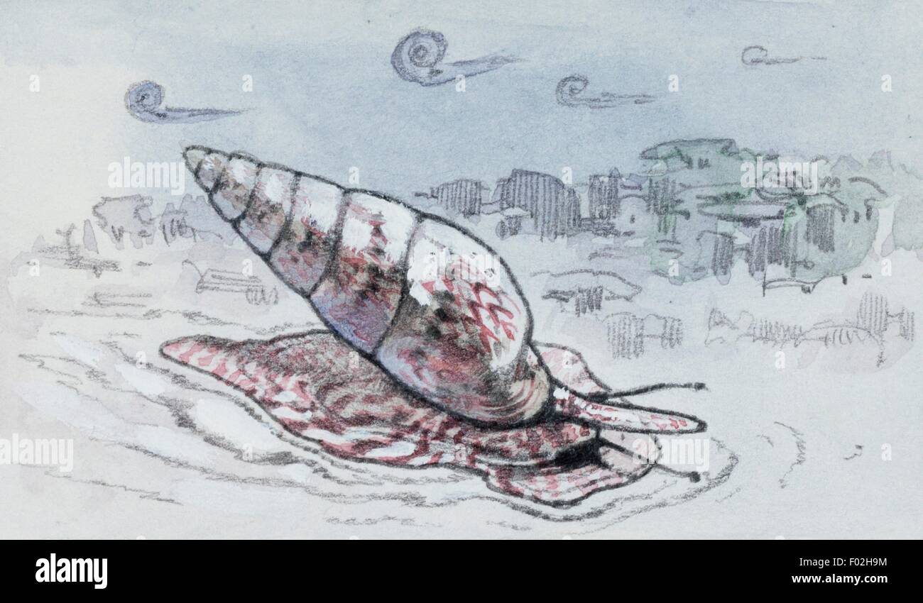 Paleontology reconstruction hi-res stock photography and images - Alamy