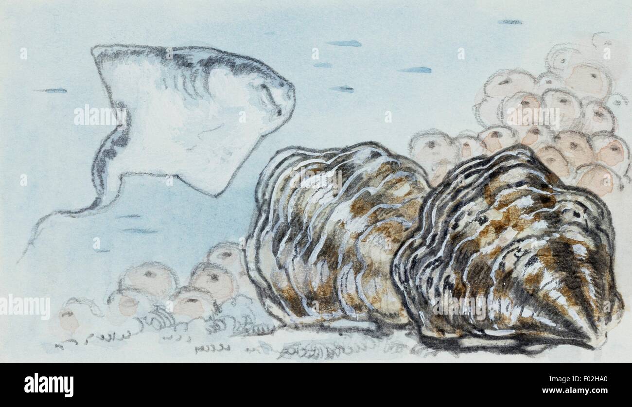 Bivalvia fossil hi-res stock photography and images - Alamy