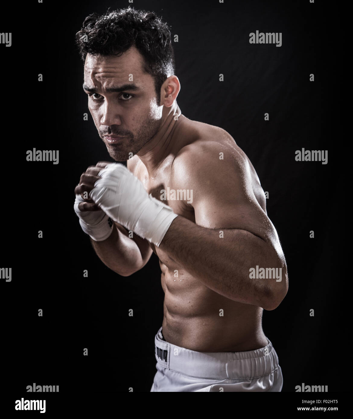 Portrait of a boxer Stock Photo - Alamy