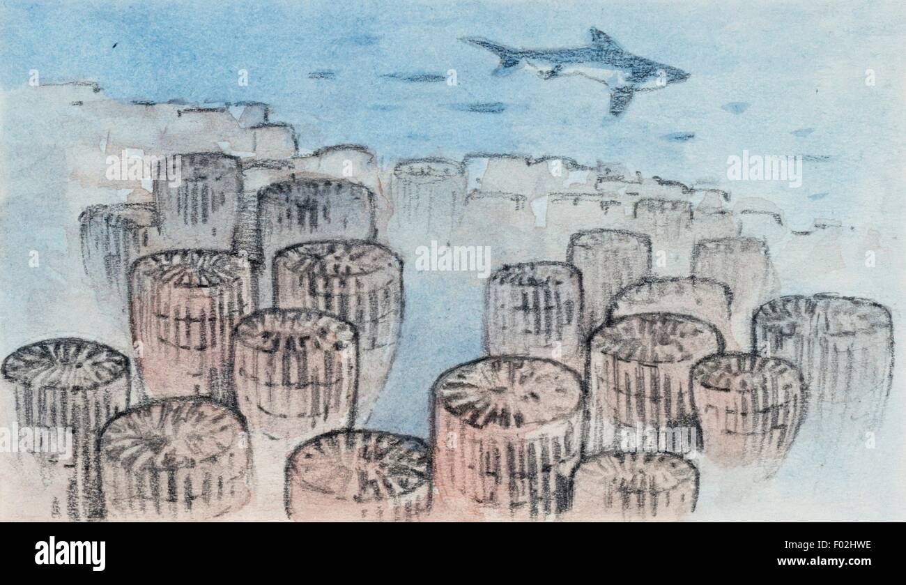 Anthozoa subclass hi-res stock photography and images - Alamy