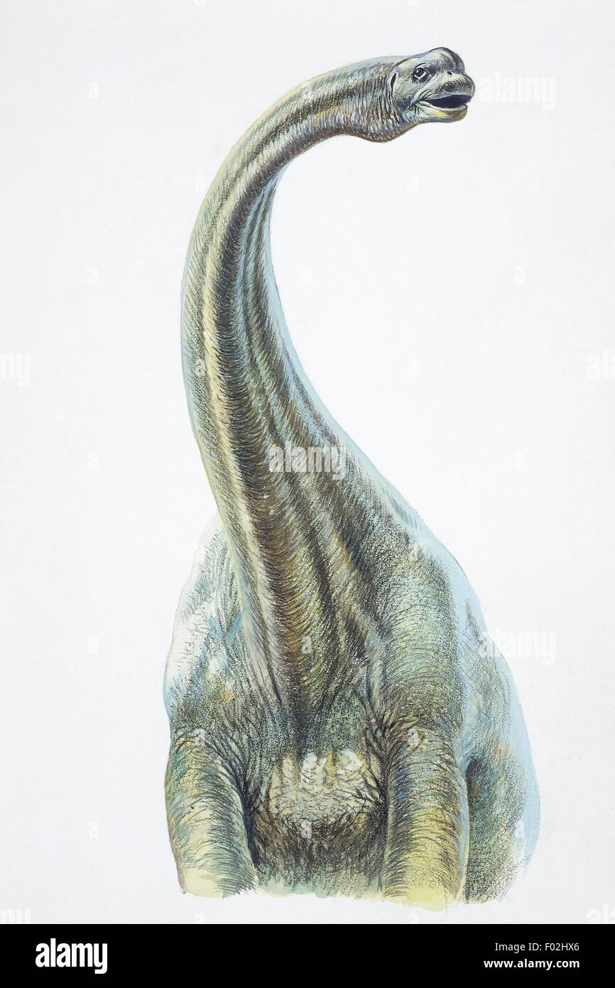 Jurassic period reconstruction hi-res stock photography and images - Alamy
