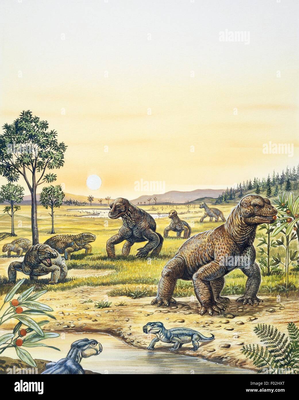 Permian Animals And Plants