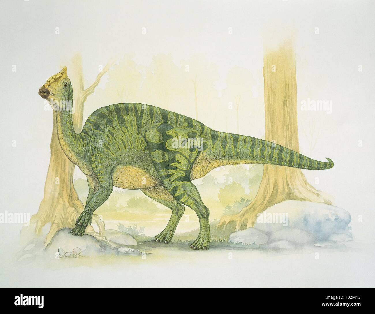 Palaeozoology - Cretaceous Period - Dinosaurs - Saurolophus (art work ...