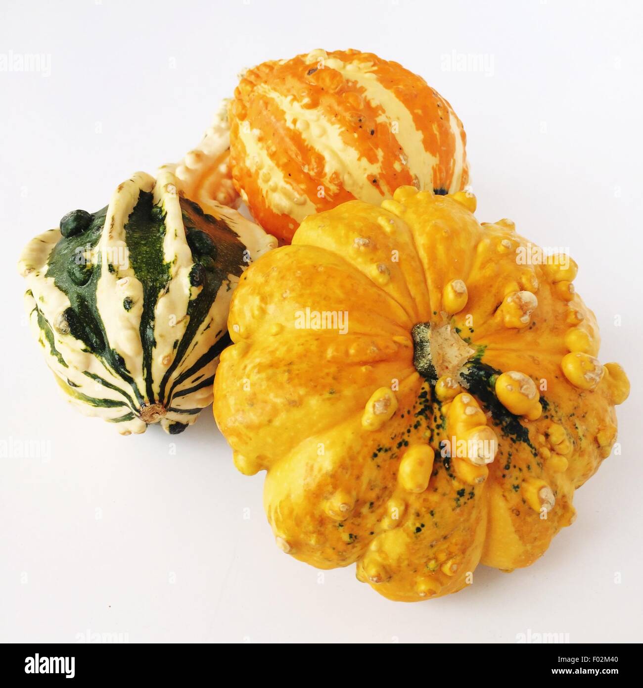 Still life of three squash vegetables Stock Photo - Alamy