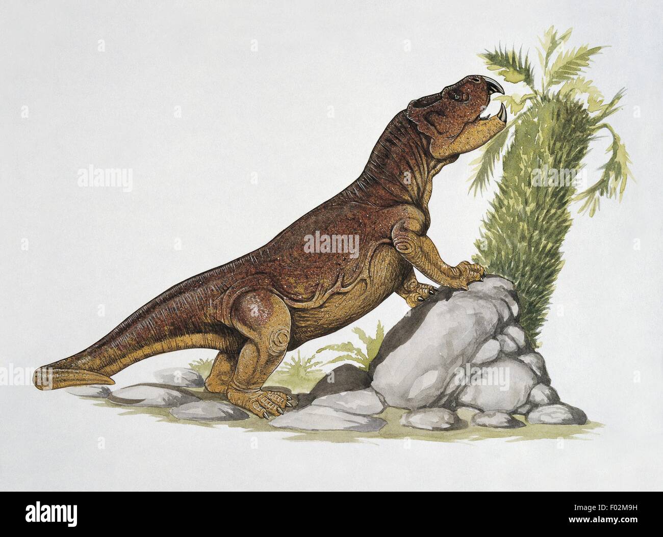 History Geology Palaeozoology Triassic High Resolution Stock ...