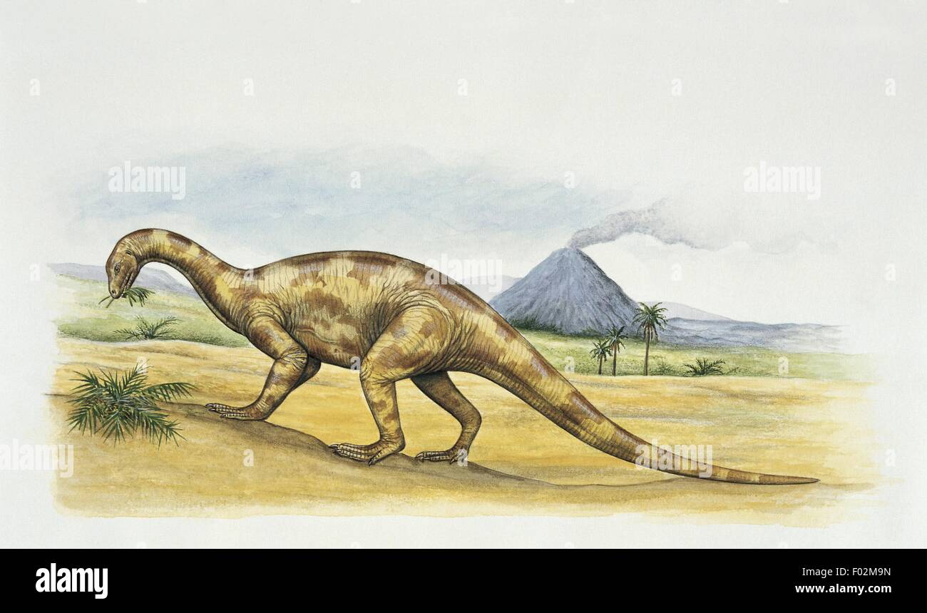 Triassic period dinosaur hi-res stock photography and images - Alamy