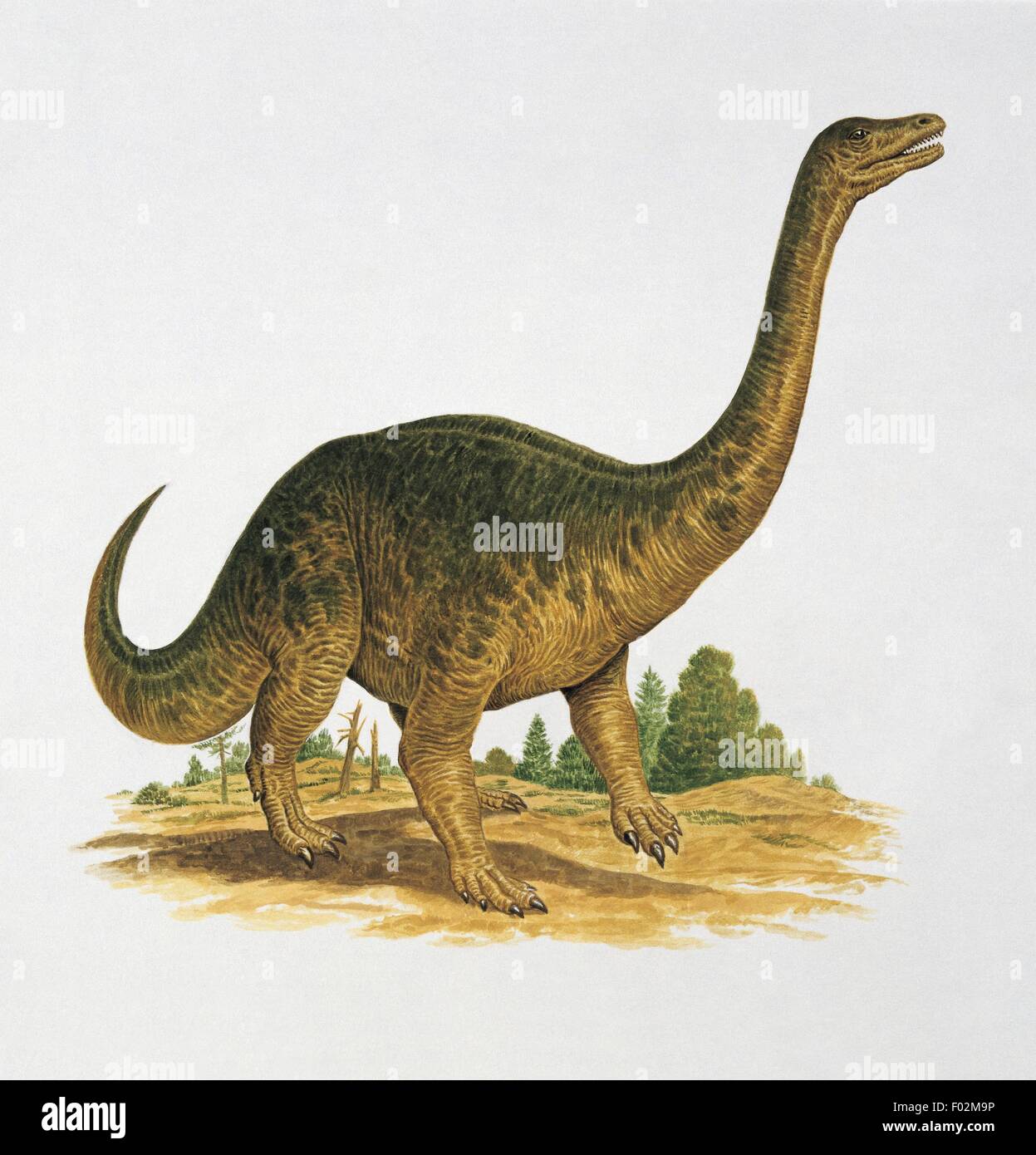 Jurassic Park Riojasaurus