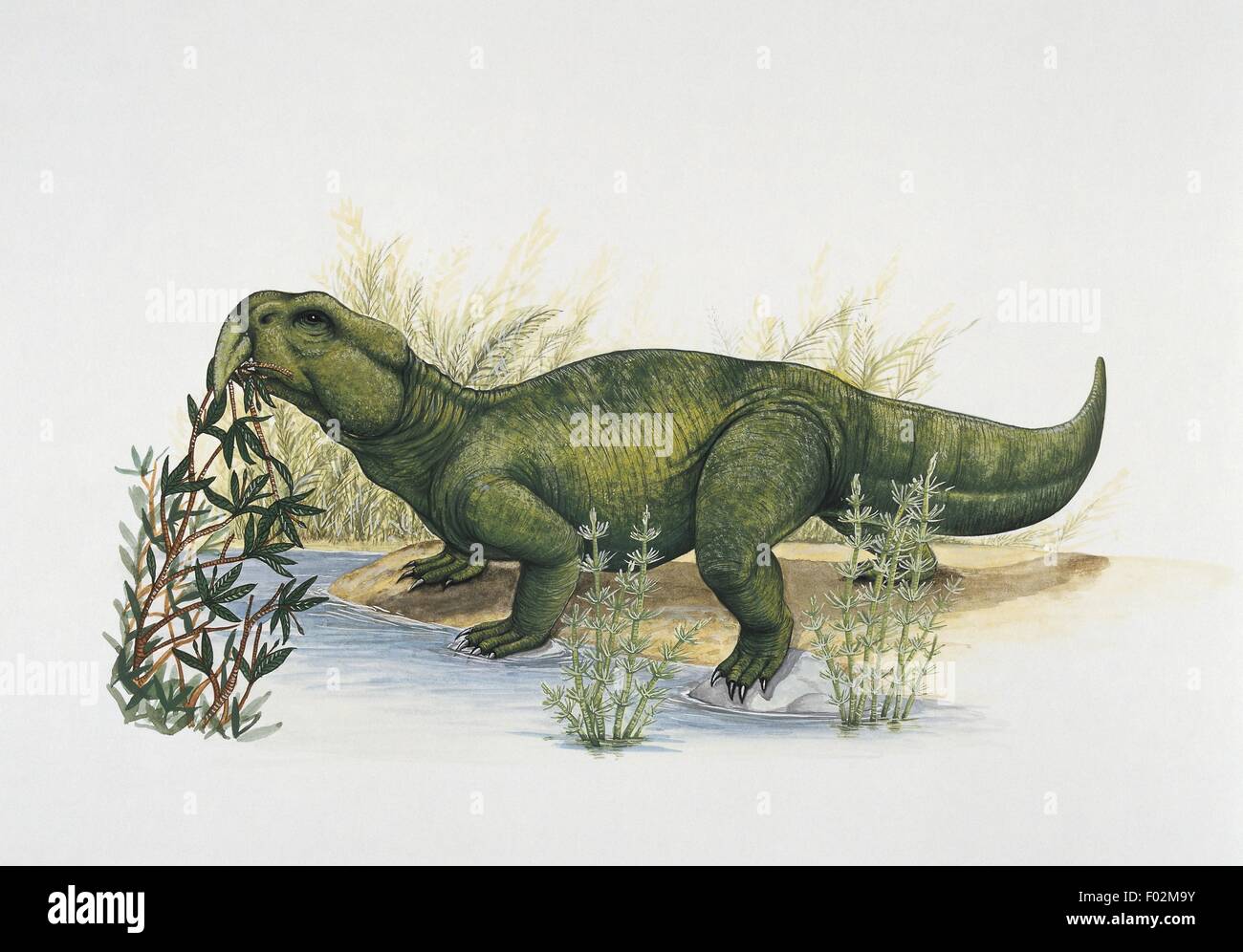 Palaeozoology - Triassic Period - Reptiles - Hyperodapedon (art work by ...