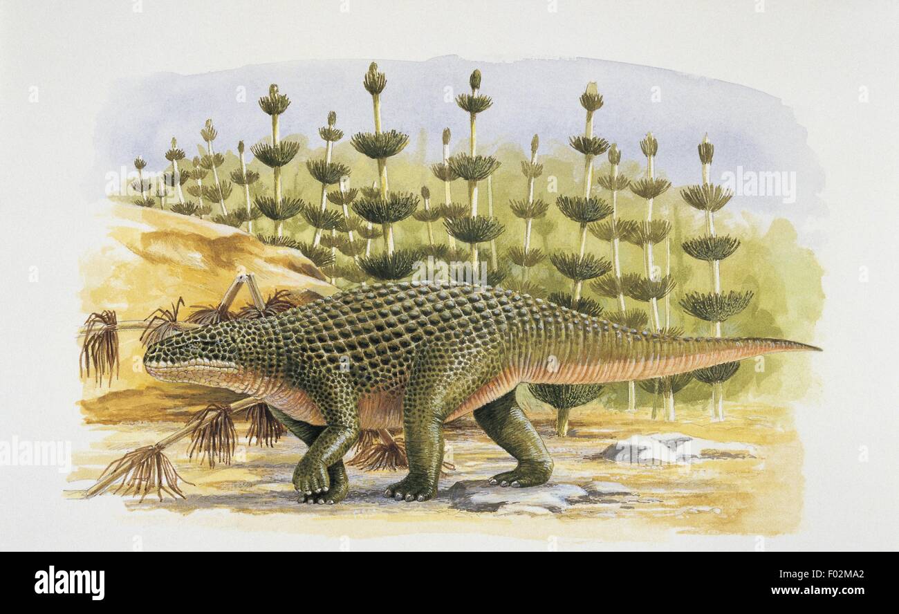 Palaeozoology - Triassic Period - Reptiles - Shansisuchus (art work by ...