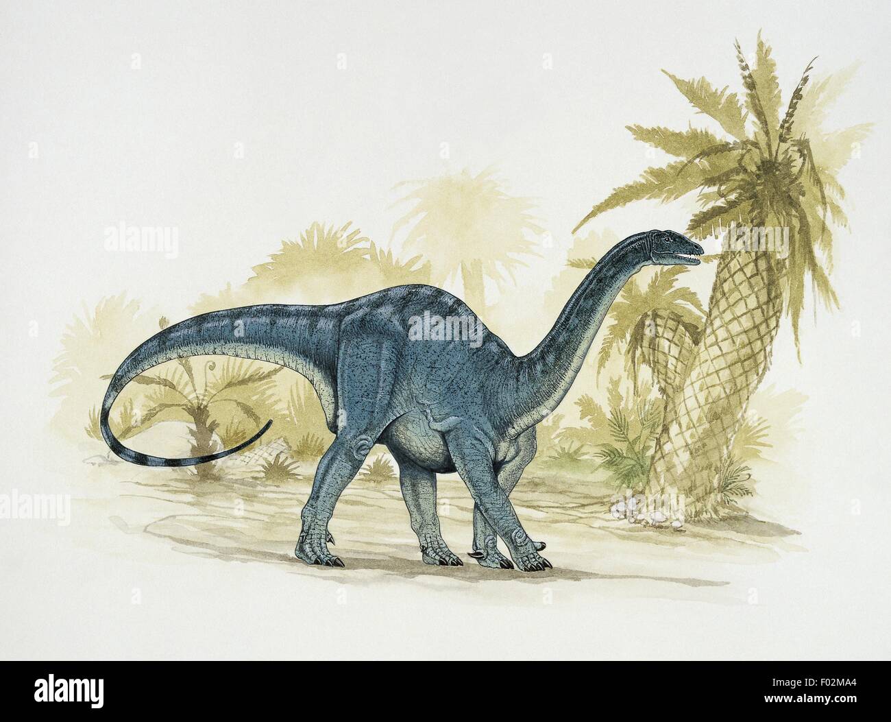 Palaeozoology - Triassic Period - Dinosaurs - Mussaurus (art work by ...