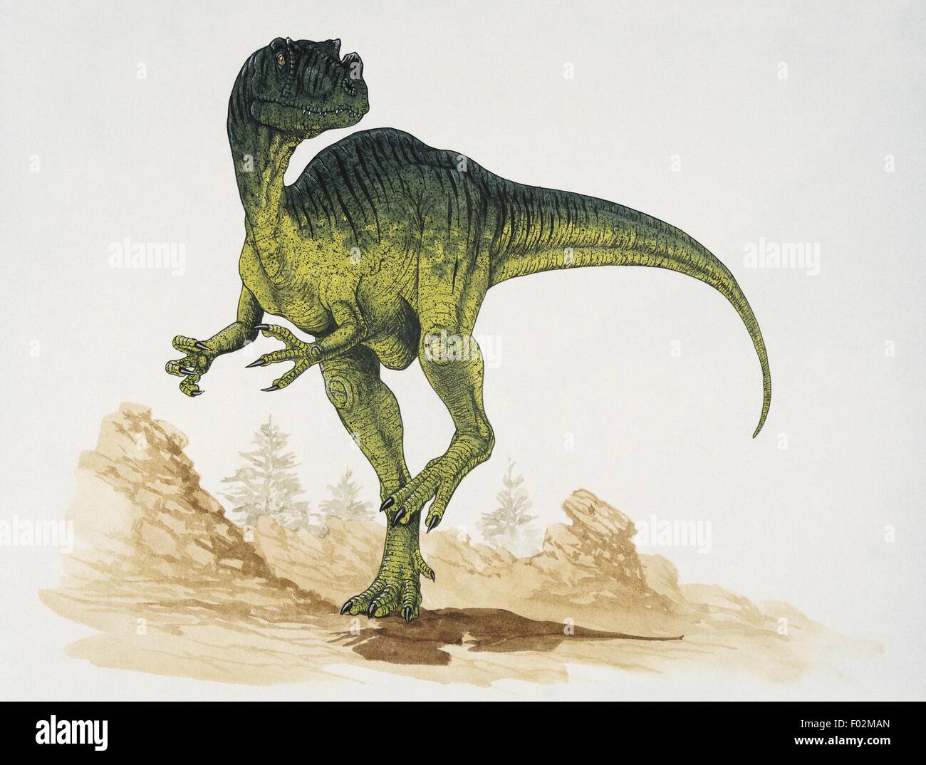 Palaeozoology - Jurassic Period - Dinosaurs - Proceratosaurus (art work ...