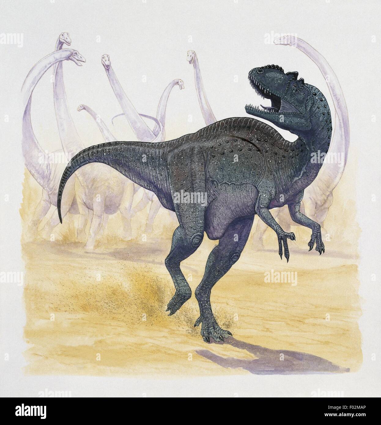 Palaeozoology - Jurassic Period - Dinosaurs - Yangchuanosaurus (art ...