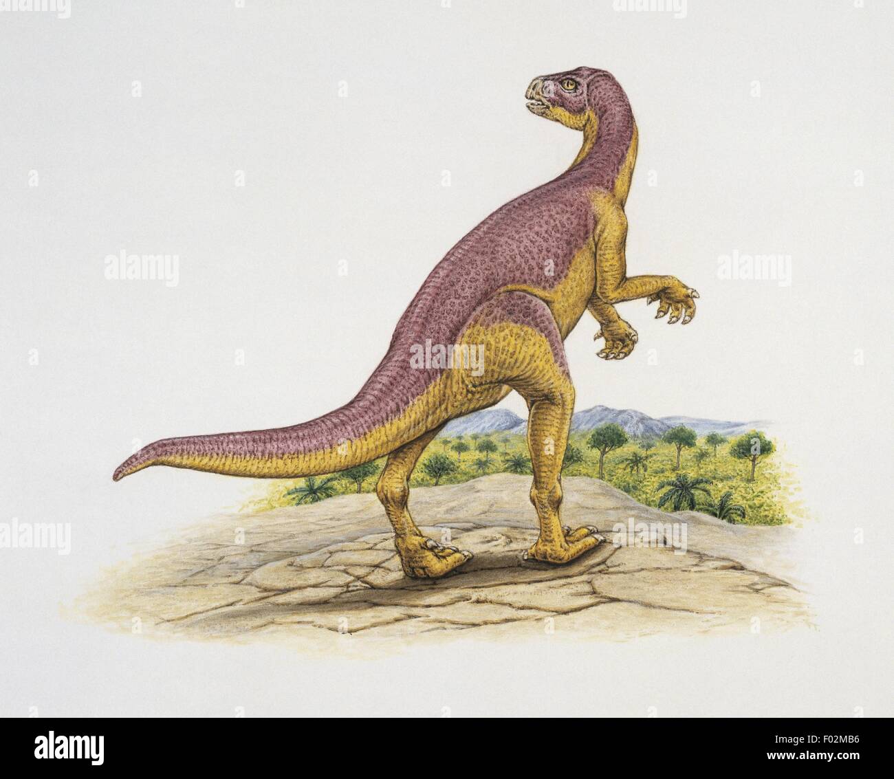 Xiaosaurus THU | February 20, 2025 Xiaosaurus: A Neighbor Of